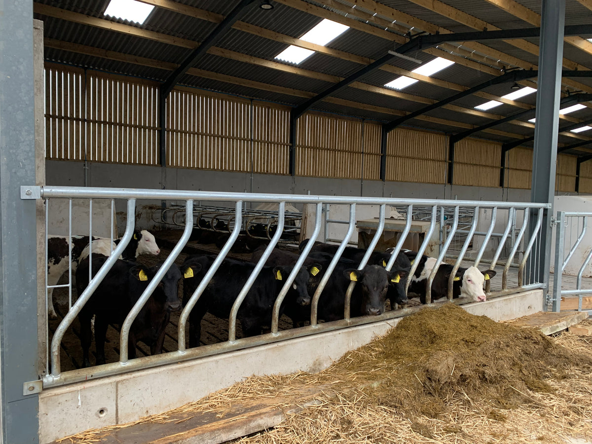 Calf Diagonal Feeding Barrier – Agri-Kit