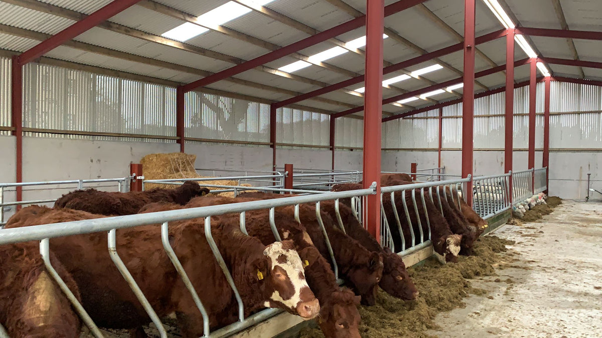 Diagonal Feeding Gate – Agri-Kit